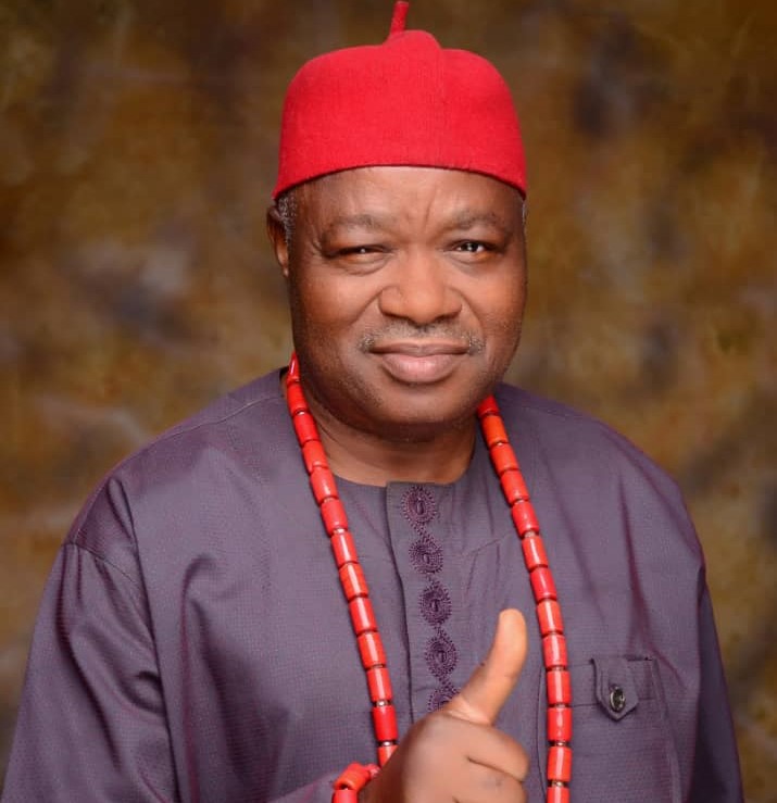 Sunday Ossai, Factional Ohanaeze Ndigbo President’s Sack: How Some ...